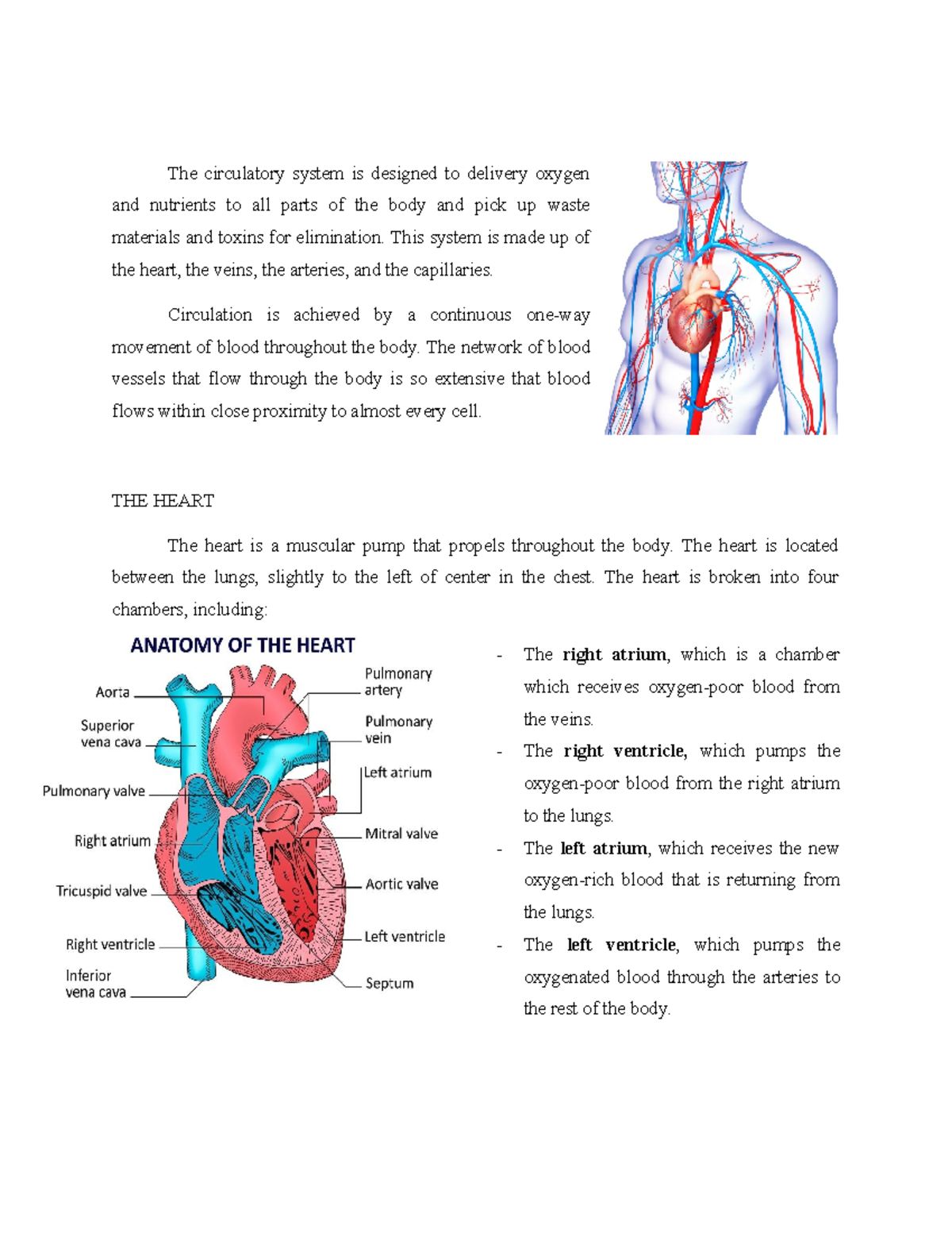 Anaphysio - Eclampsia: Understanding the Circulatory and Hepatic ...