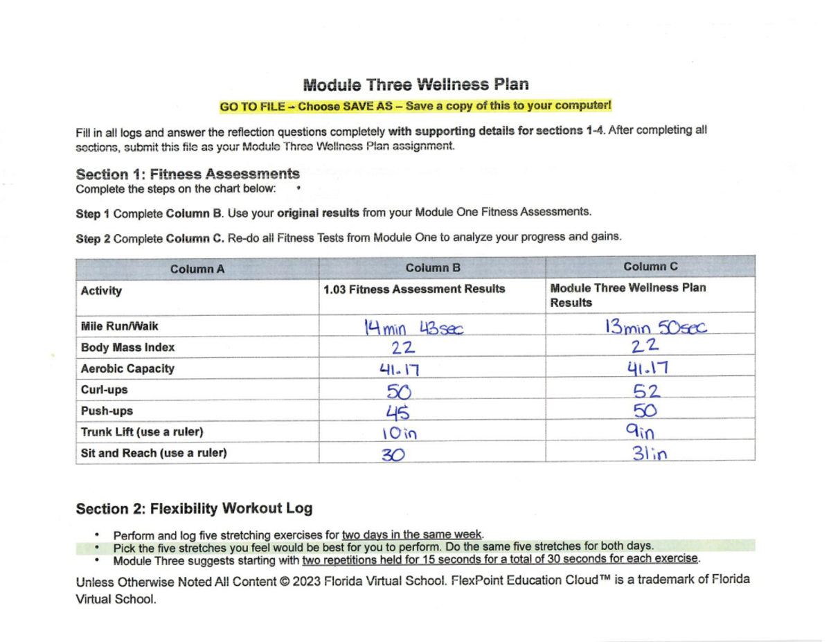 Module 3 Wellness Plan - Studocu