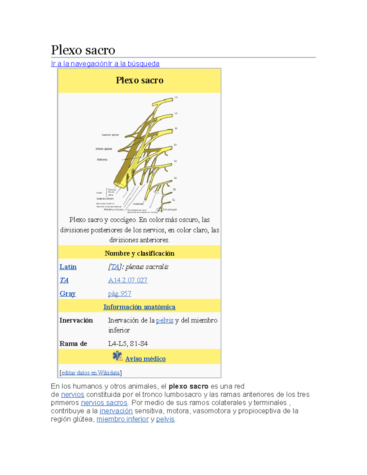 Anatomía Del Plexo Sacro