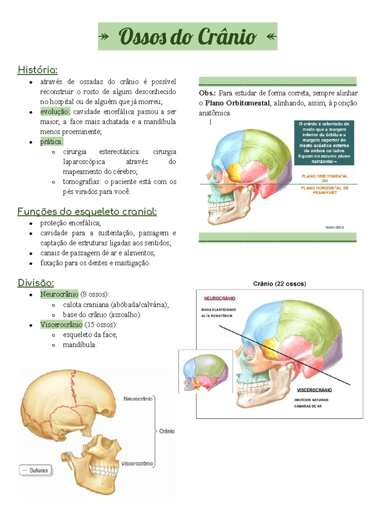 Flashcards ossos do cranio - crânio: Vista Anterior cabeça e Pescoço 1 ...