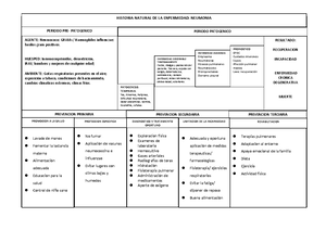 examen final 1 fesp - Introducción a las Funciones Esenciales de Salud Pública (FESP) renovadas ...