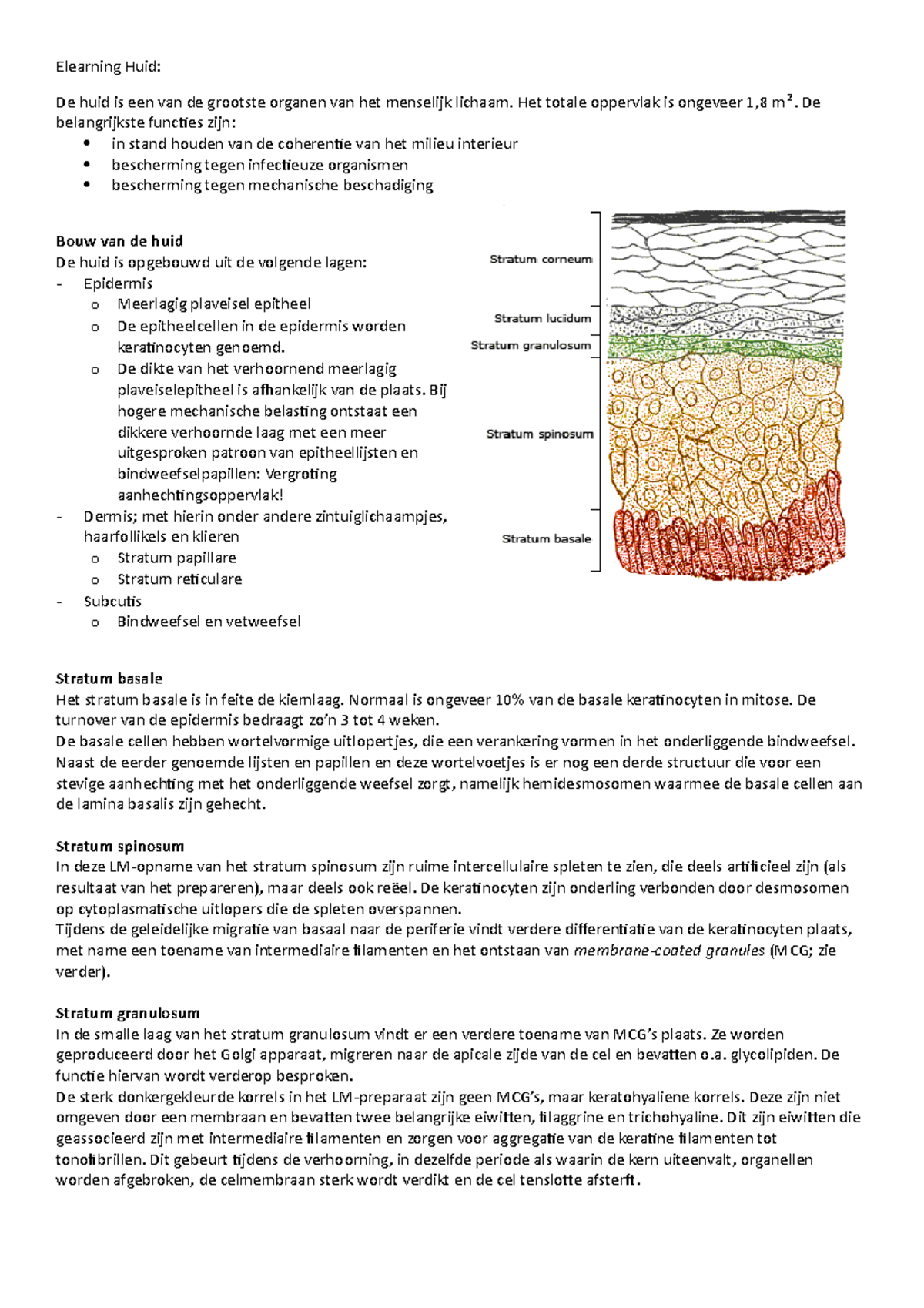 Huidstructuur en Functies: Inzicht in de Elearning Huid Document ...