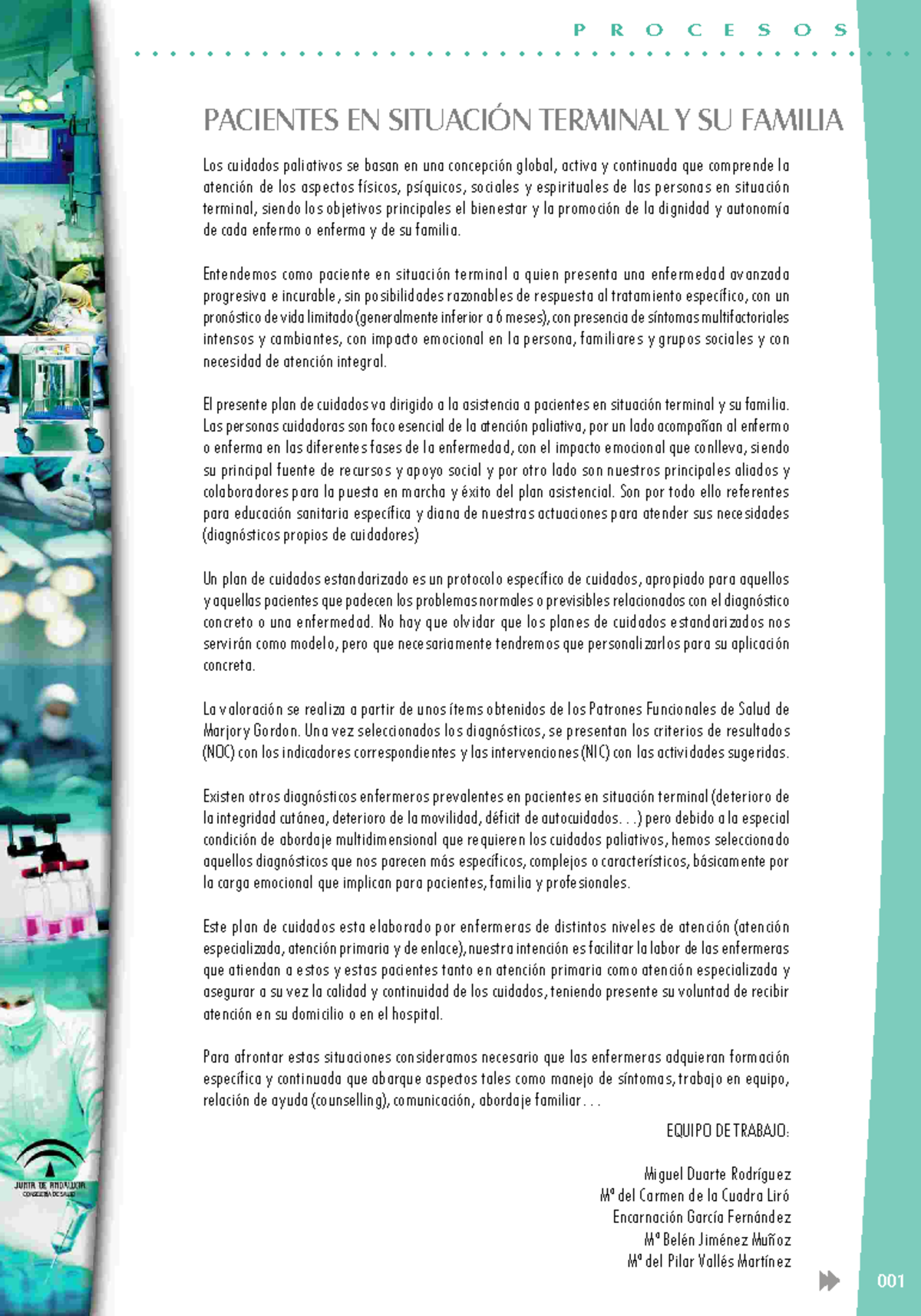 Plan de Cuidados Paliativos para Pacientes Terminales y sus Familias ...
