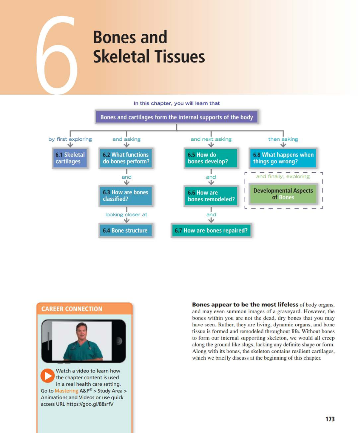 Chapter 6: Bones and Skeletal Tissues (204-229) - Key Concepts and ...
