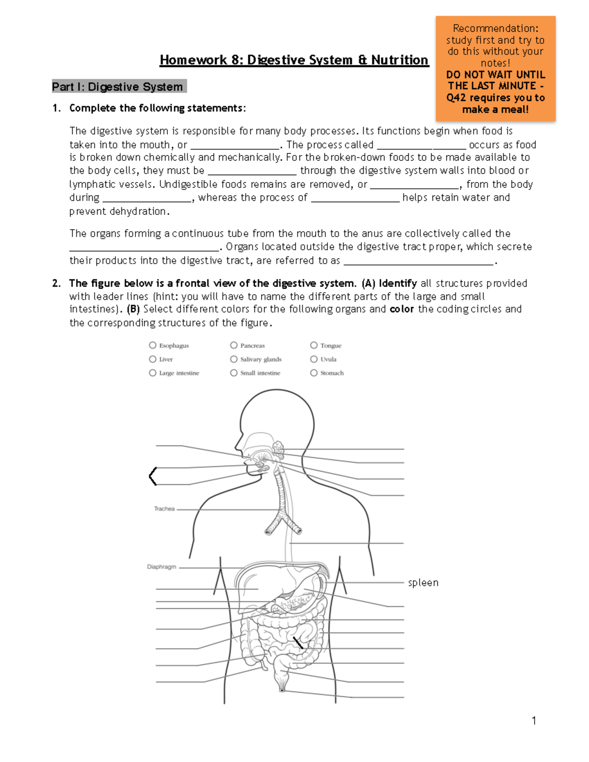 HW8: Nutrition & Function of the Digestive System - Studocu