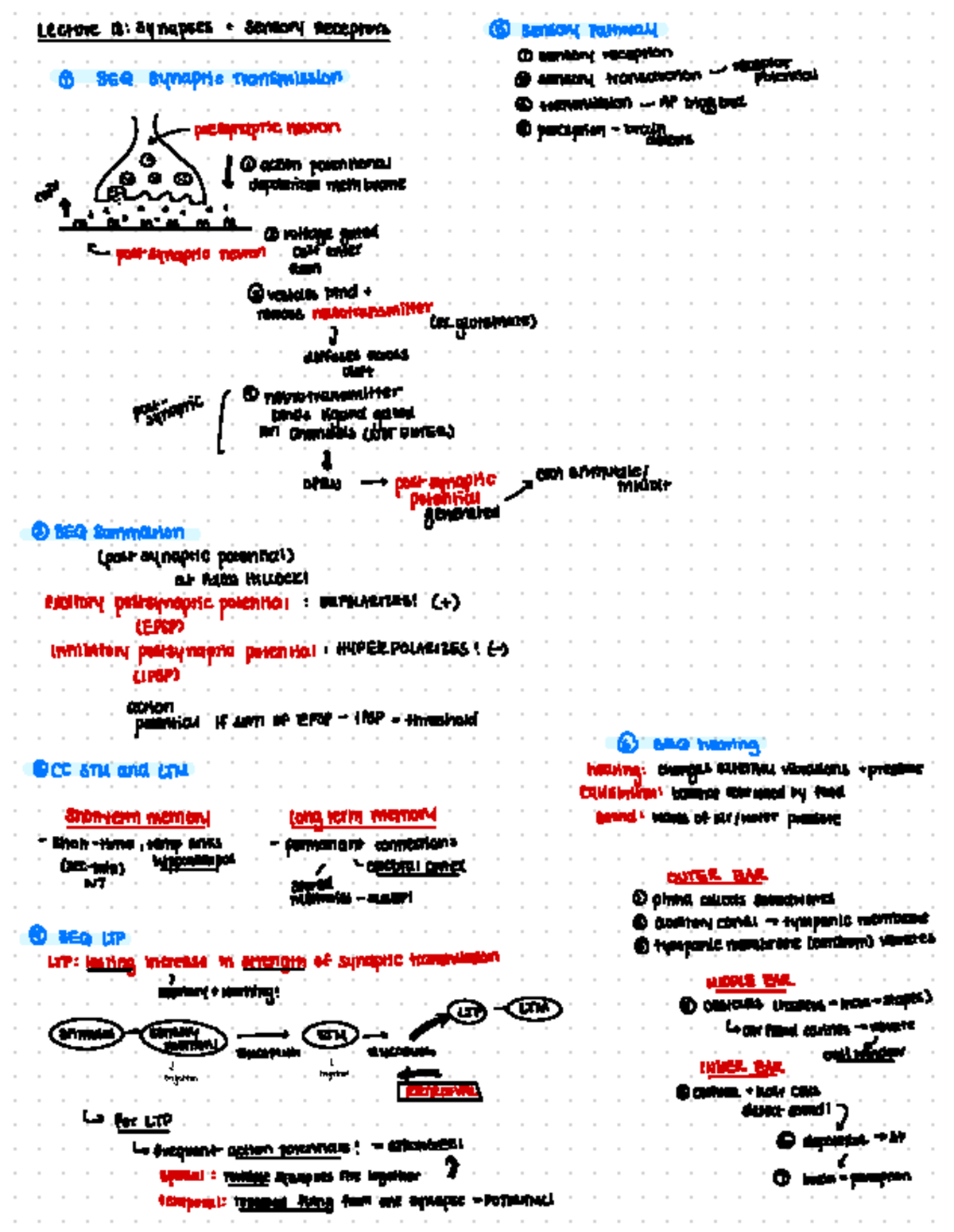 Exam 3 - Biology: Sensory Pathways, Musculoskeletal System, and ...