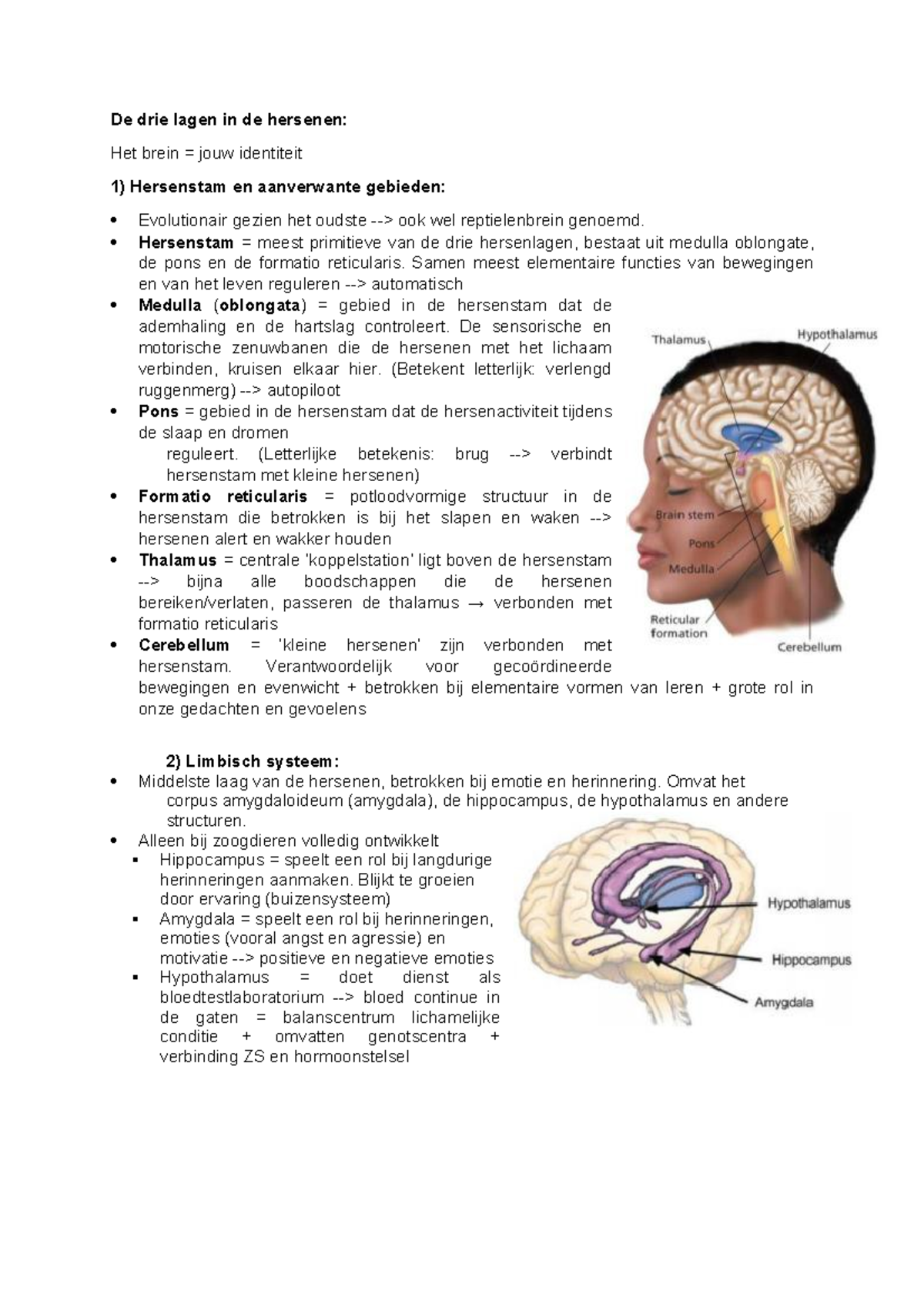 Hersenen begrippen H2.3 - Sociale wetenschappen - HAN - Studeersnel