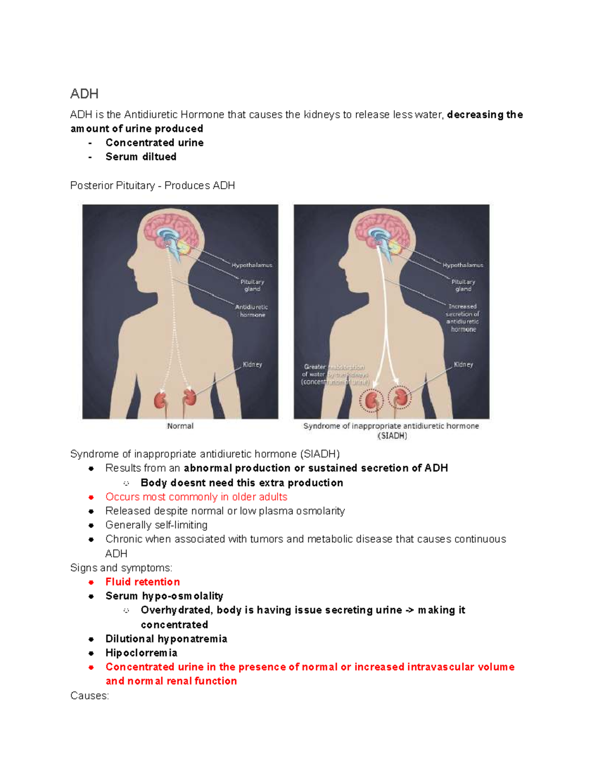 Endocrine Module II - ADH ADH is the Antidiuretic Hormone that causes ...