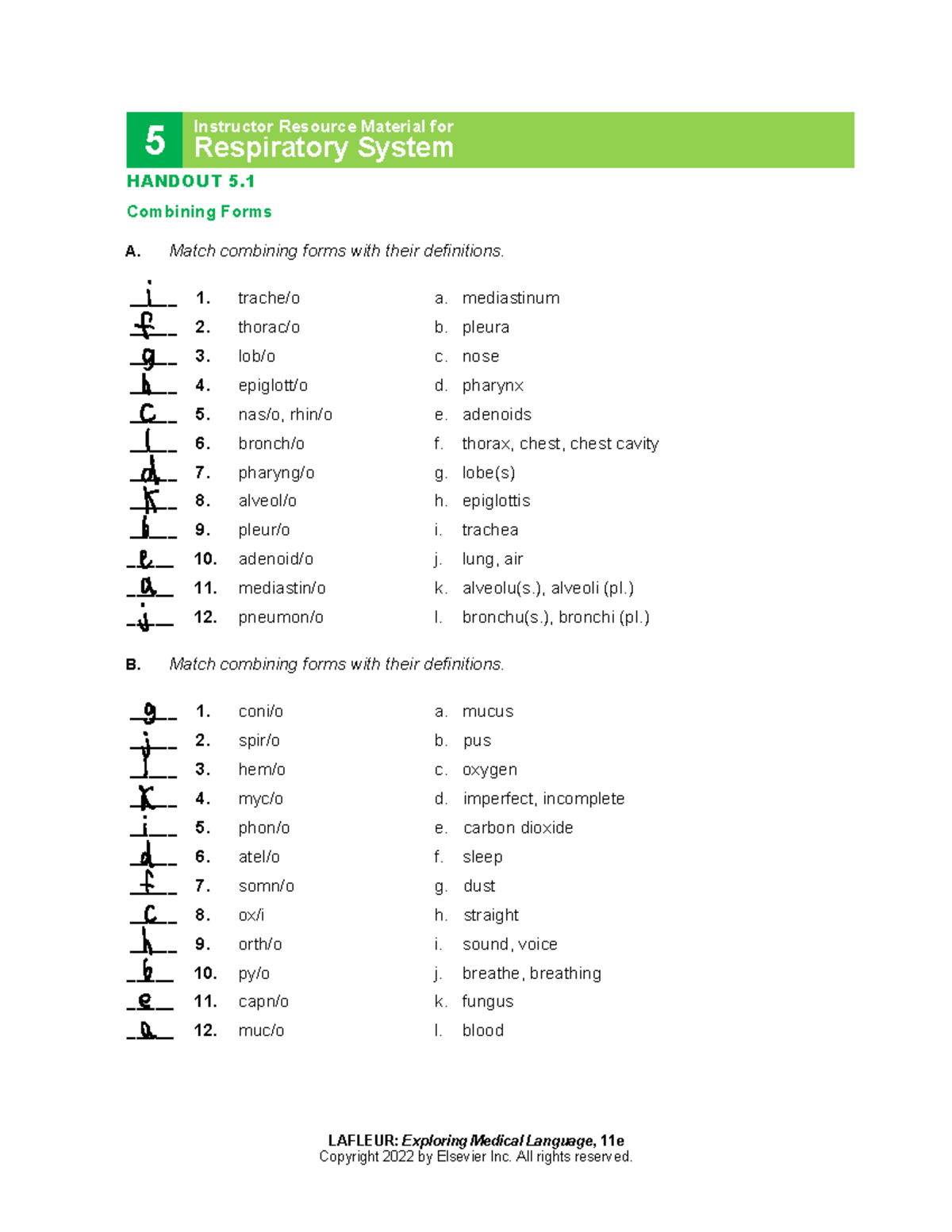 Ch5 - Exploring Medical Language: Respiratory System Handouts - Studocu