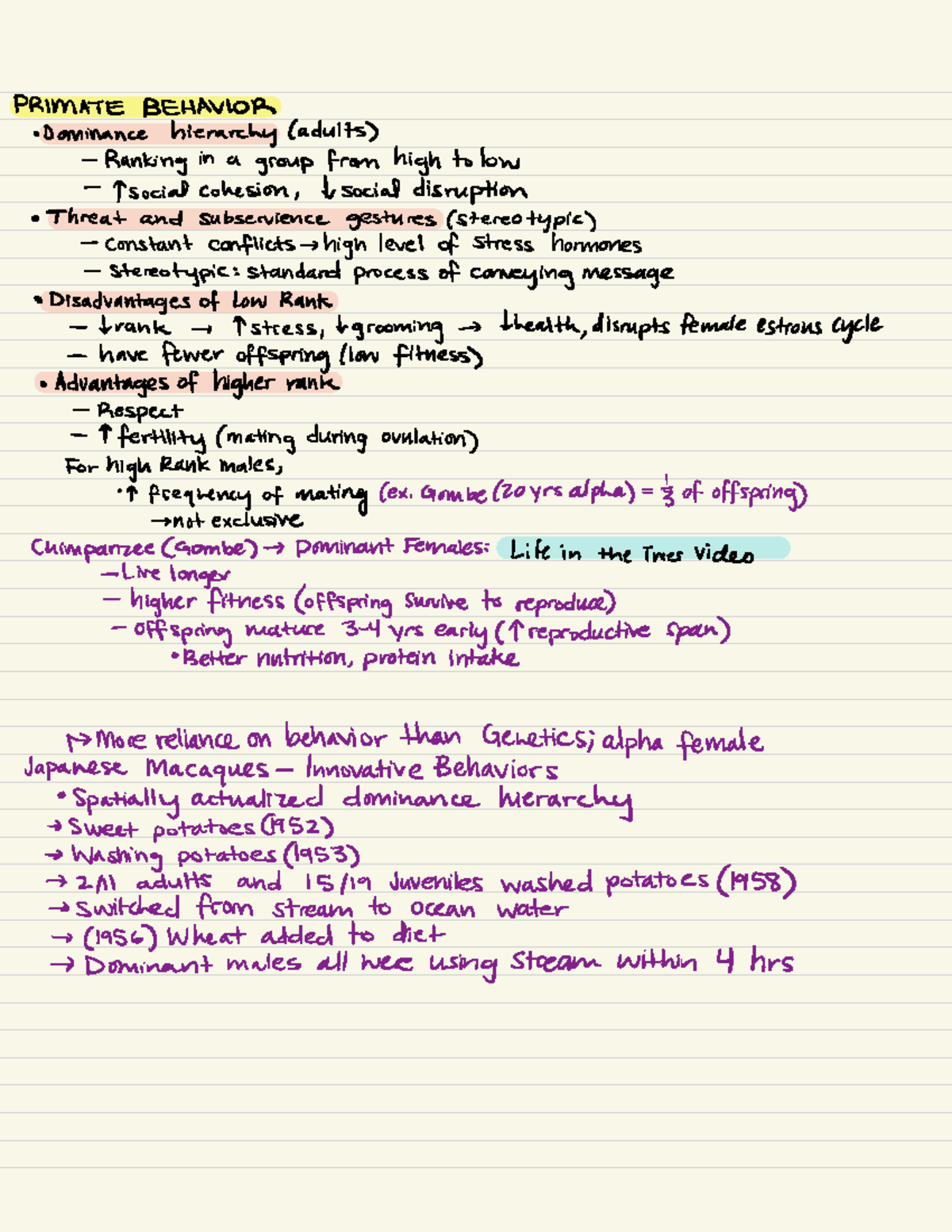 Primate Behavior: Hierarchies, Communication, and Social Dynamics Notes ...