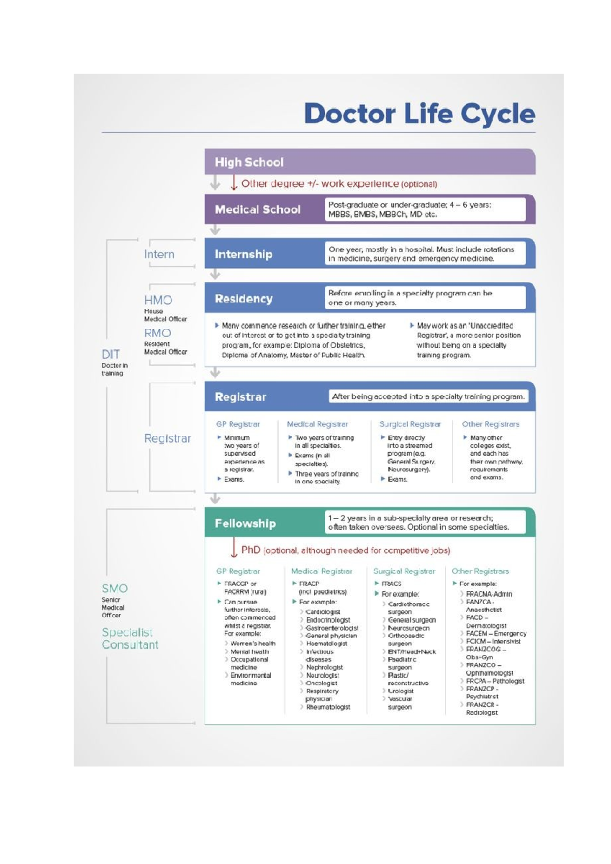 Lifecycle of a Doctor: Pathways and Training Overview - Studocu