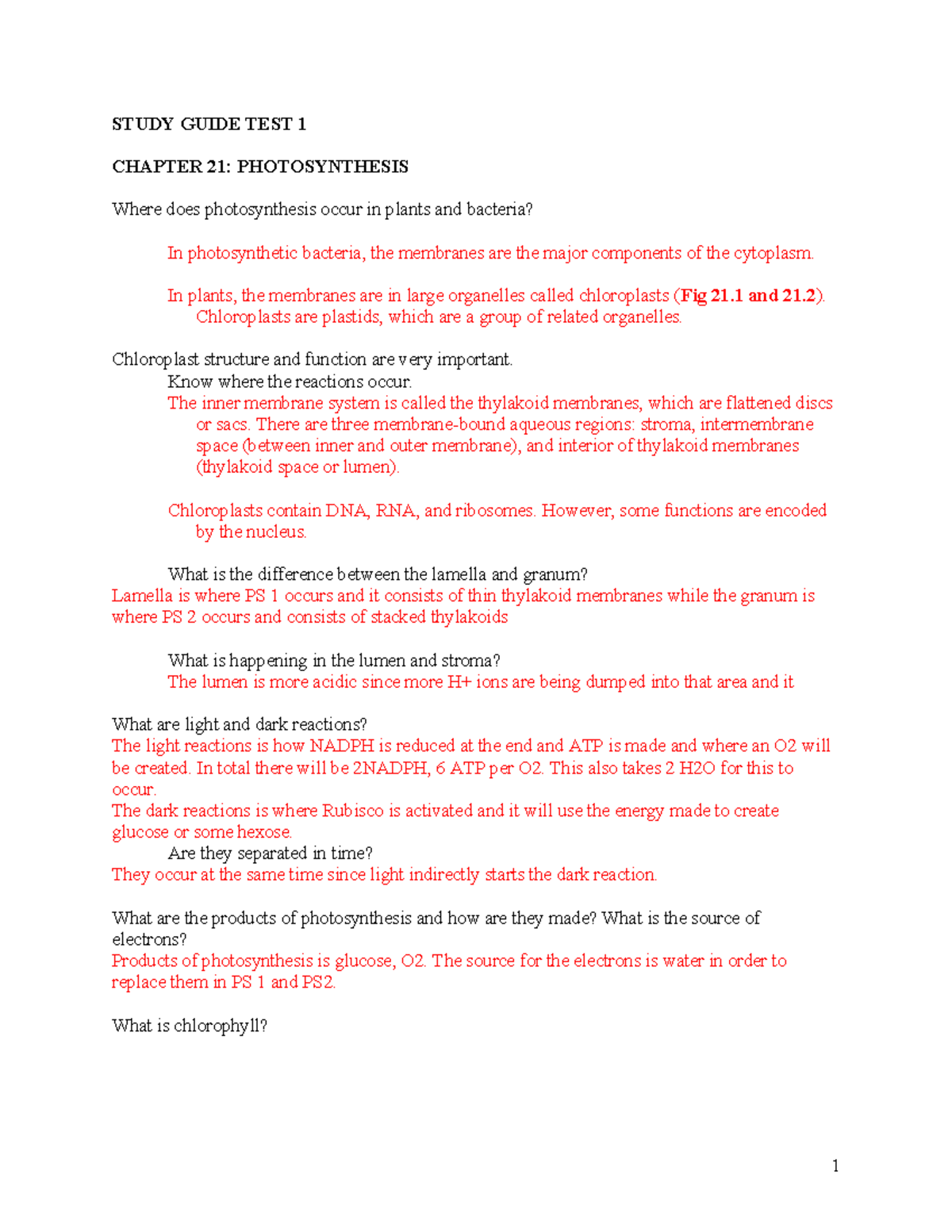 Photosynthesis and Nitrogen Cycle Study Guide - Exam 1 (BIO 101) - Studocu