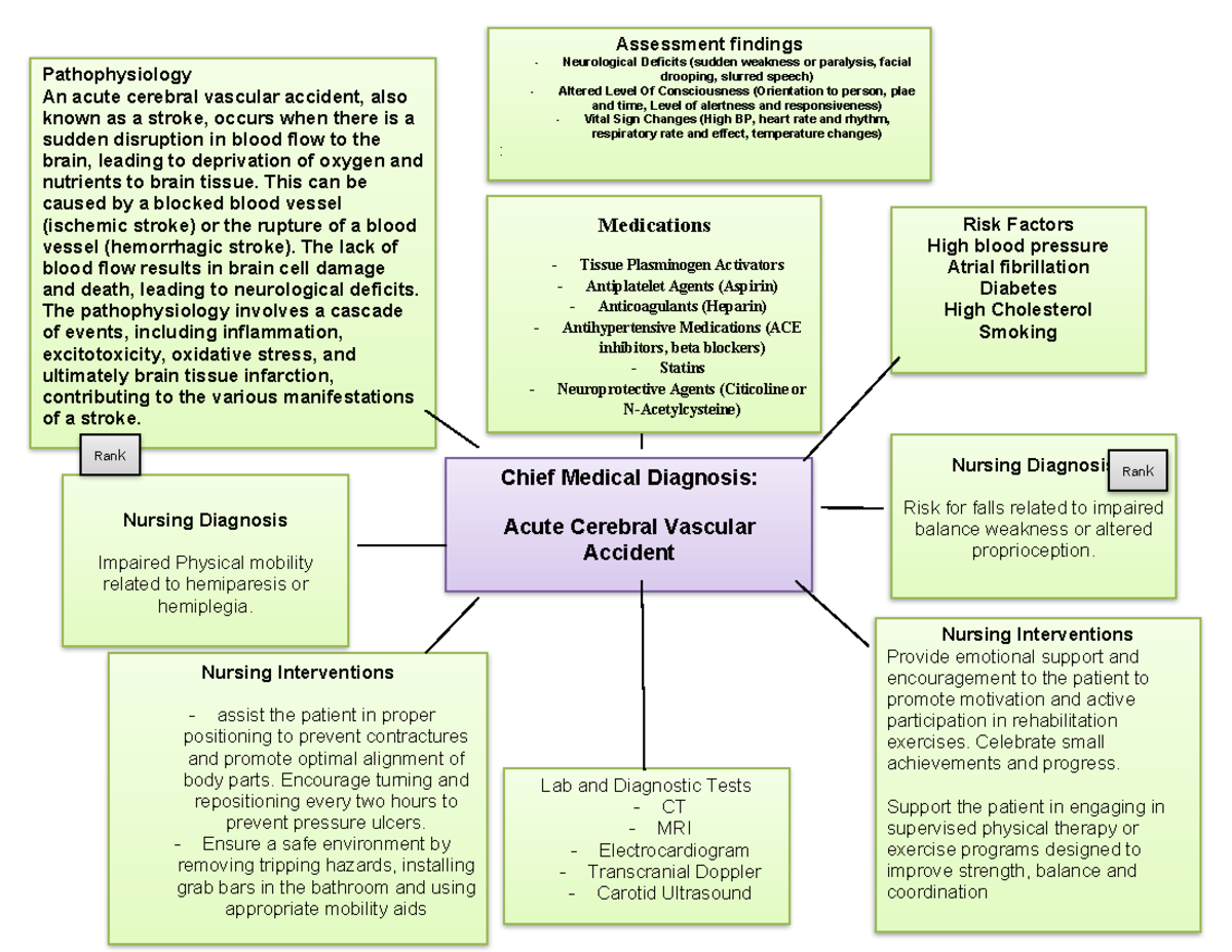 N5307 Concept Map: Acute Stroke Assessment and Nursing Care - Studocu