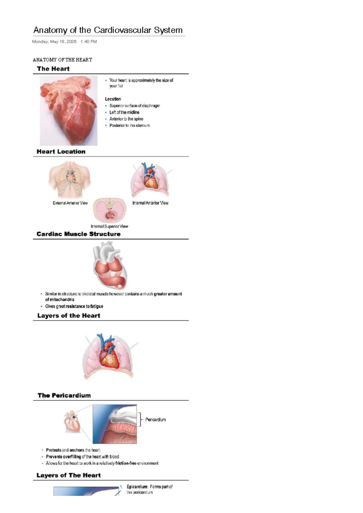 Anatomy of the Cardiovascular System - Lecture Notes - Studocu