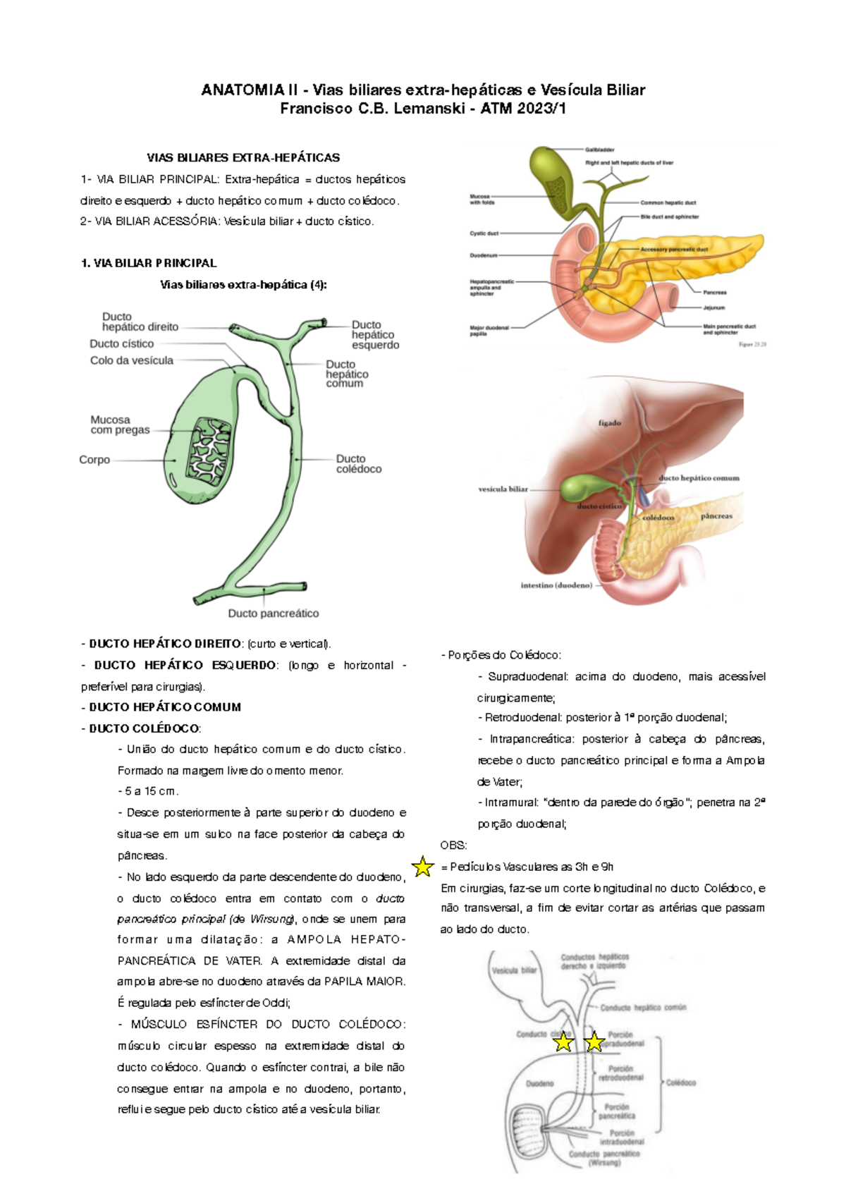 Anatomia II - Vias Biliares Extra-hepáticas e Vesícula Biliar - Studocu