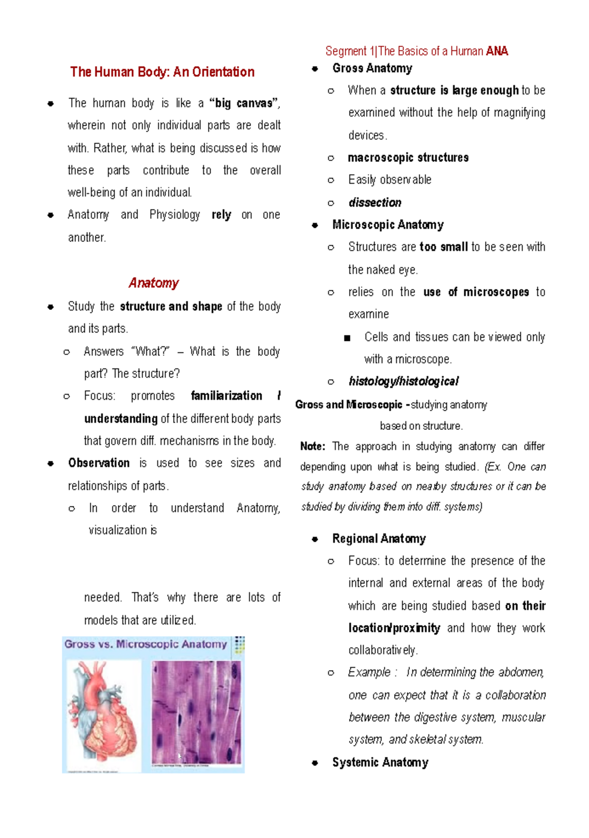 ANA - Lesson 1: Understanding Human Anatomy and Physiology - Studocu