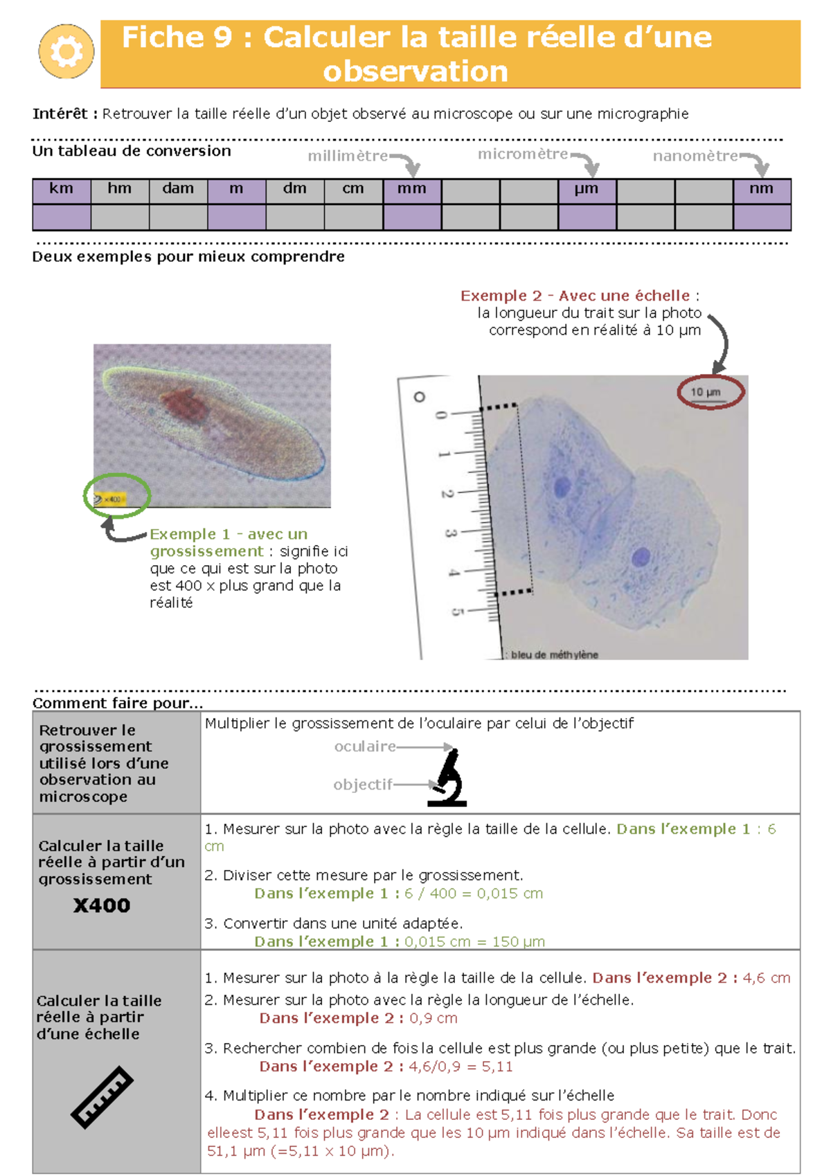 Calculer la Taille Réelle d'Observation au Microscope - Fiche 9 - Studocu