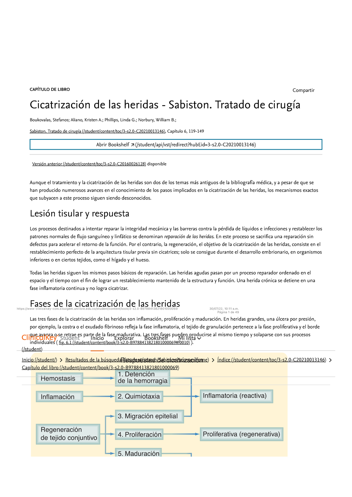 Cicatrización de las heridas - Sabiston. Tratado de cirugía - Clinical ...