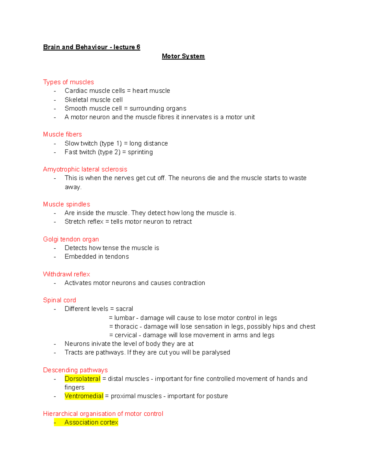 Brain and behavious - lecture 6 motor system - Brain and Behaviour ...