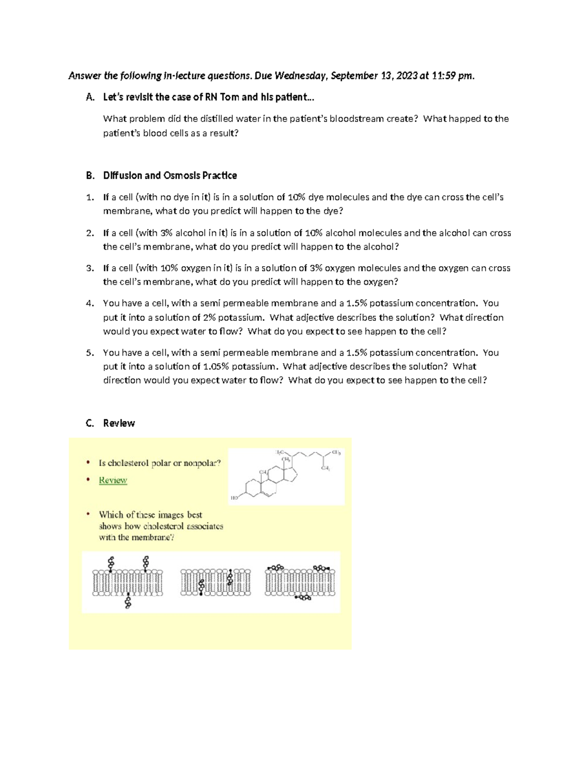Cell Transport: In-Lecture Assignment Questions & Review - Young - Studocu