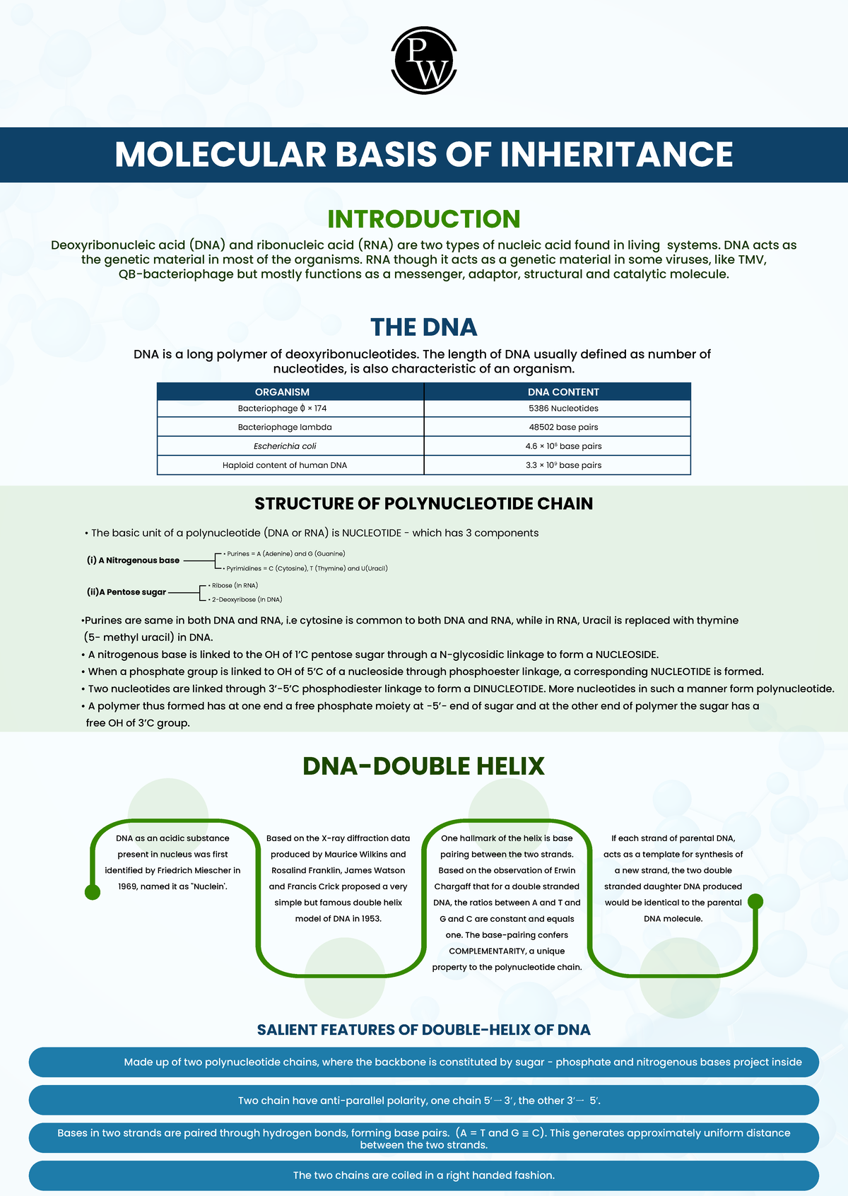 Molecular Basis of Inheritance: Comprehensive Mind Map Study Guide - Studocu