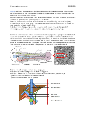 Histologie Lever en galwegen - Leverlobjes worden van elkaar gescheiden ...