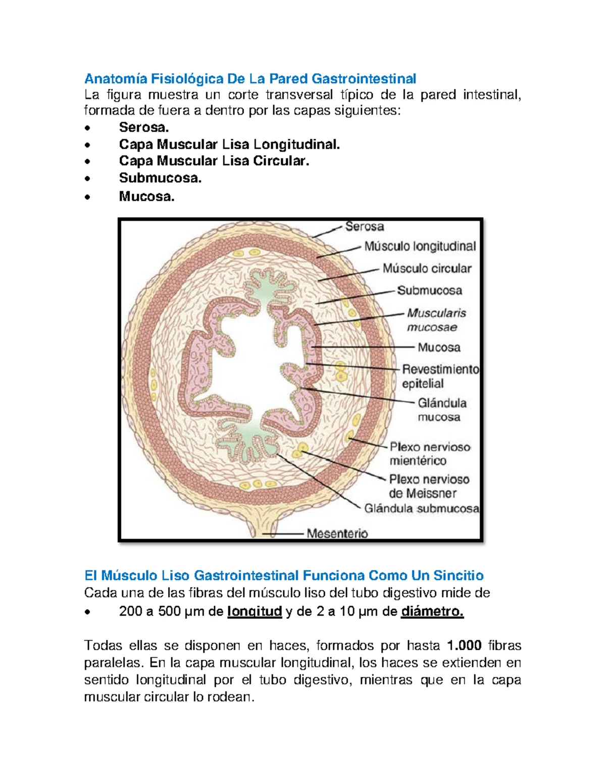 Resumen Breve de Nota SOAP y Ejemplo Práctico de Llenado - Studocu