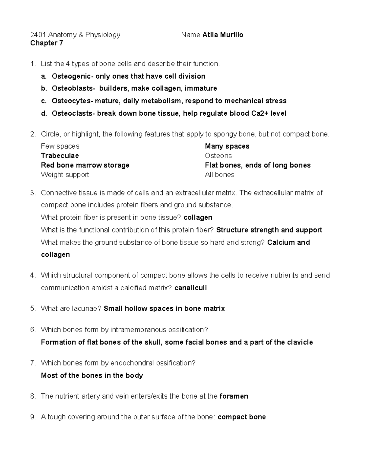 Anatomy & Physiology 2401: Chapter 7 - Bone Structure & Disorders Notes ...