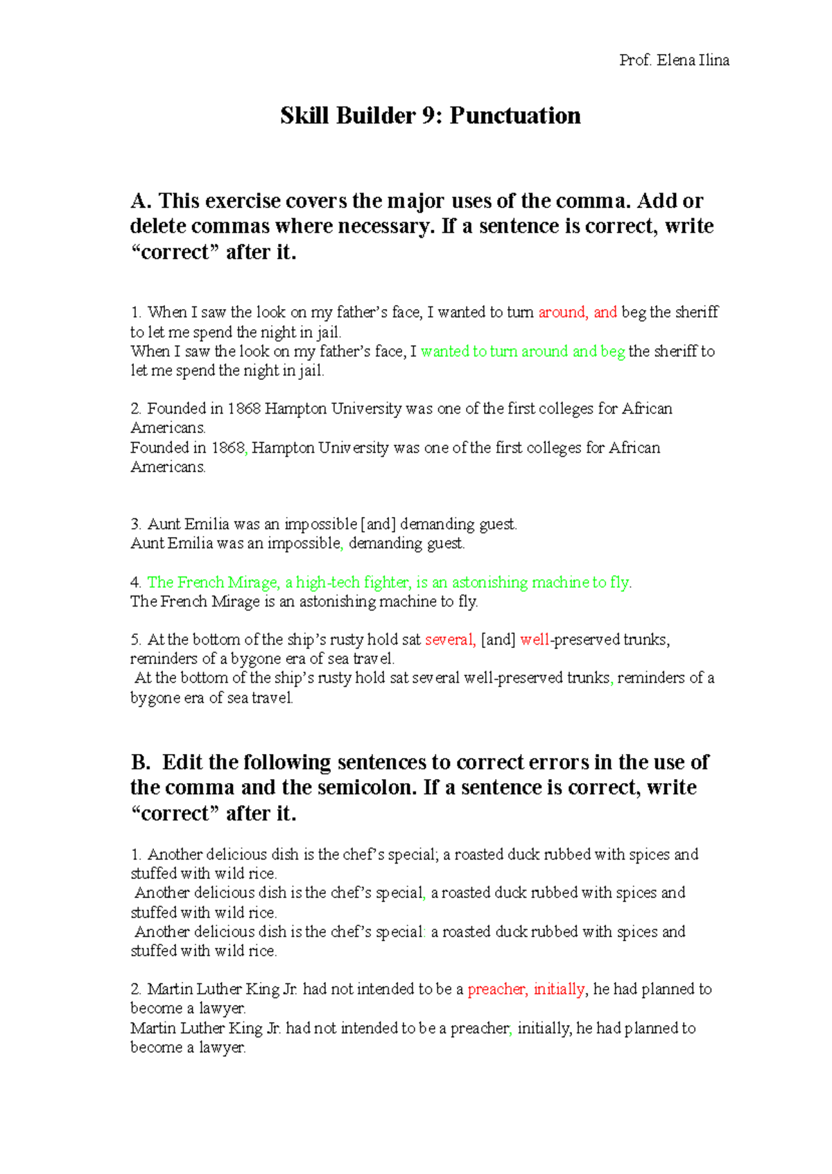 Skill Builder 9: Punctuation Exercises with Prof. Elena Ilina - Studocu