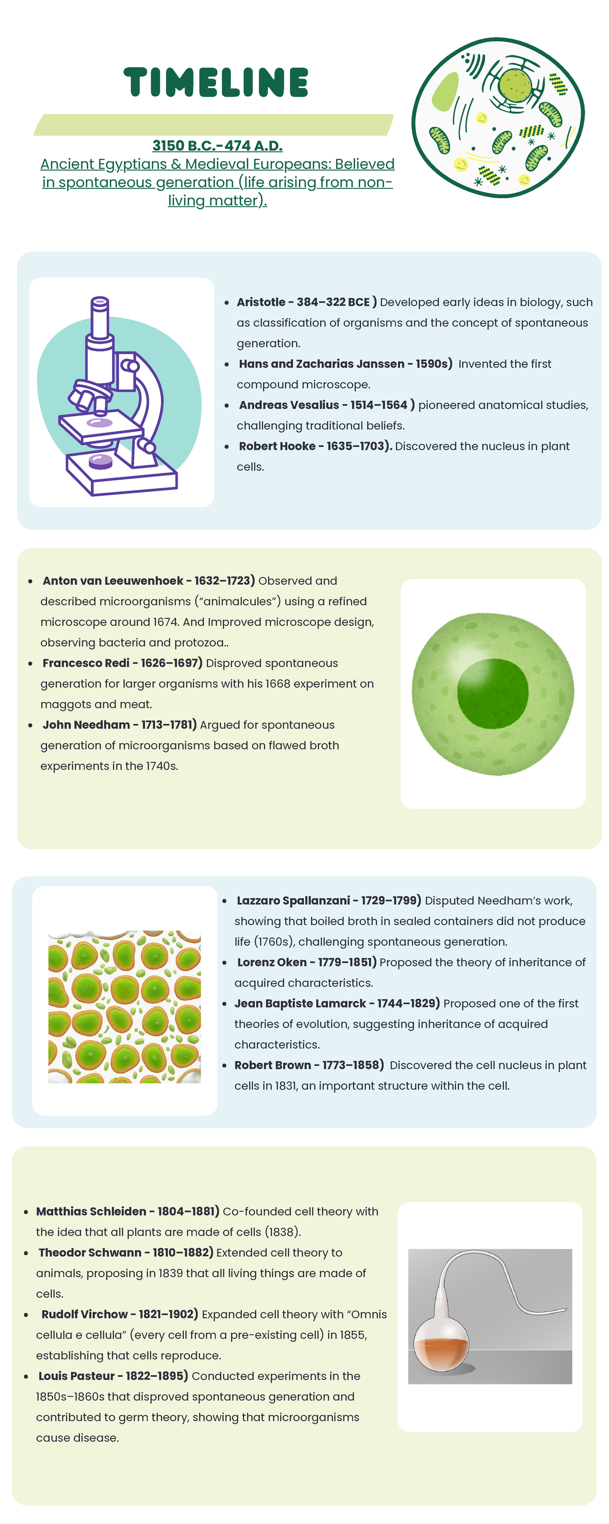 Types of Cells infographic in green white blue illustrative style ...