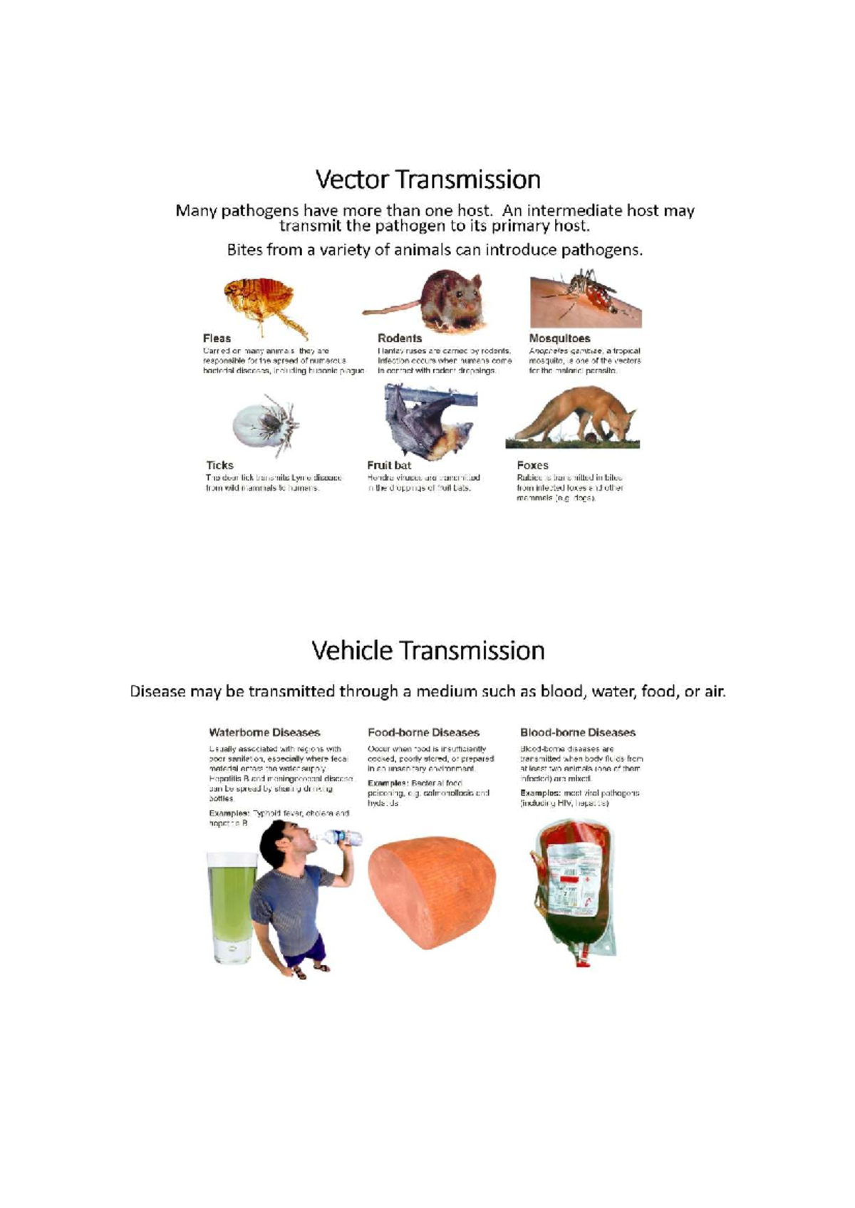 H - Biology Unit 2: Vector and Vehicle Transmission of Pathogens - Studocu