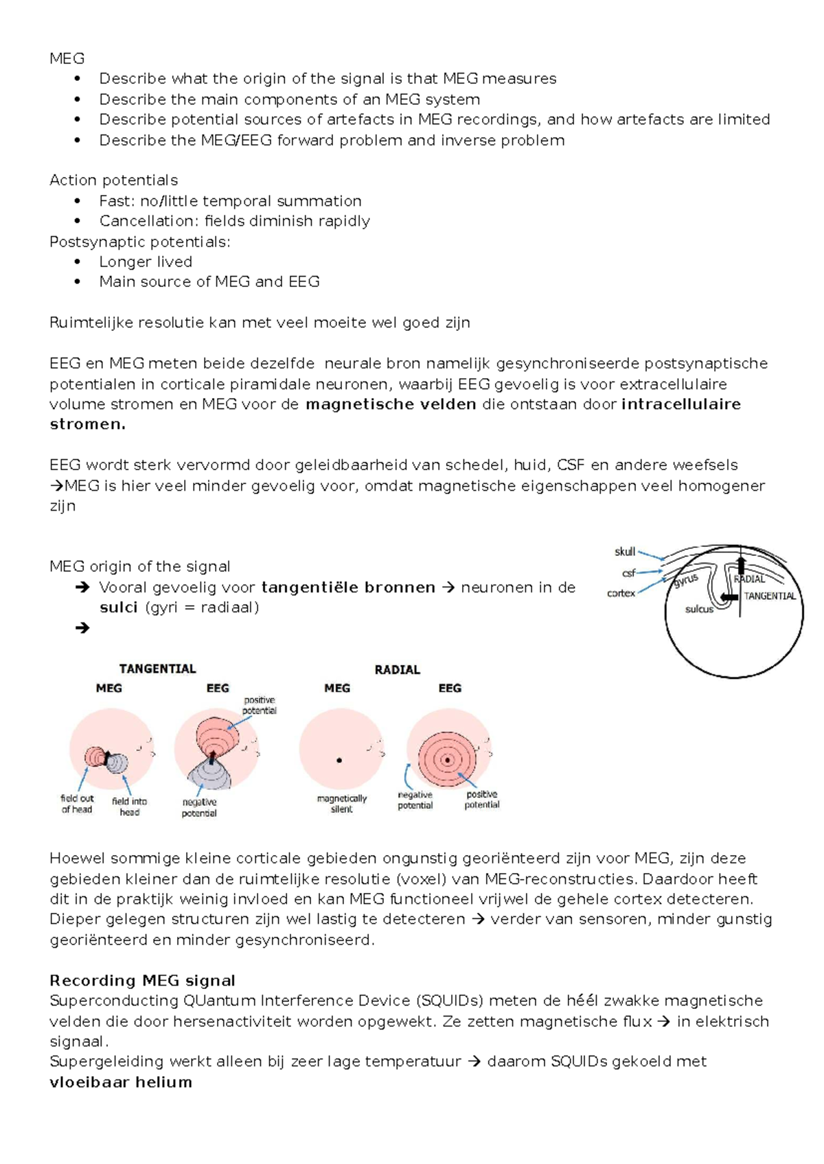 MEG System Overview: Signal Origins, Components, and Artefact ...