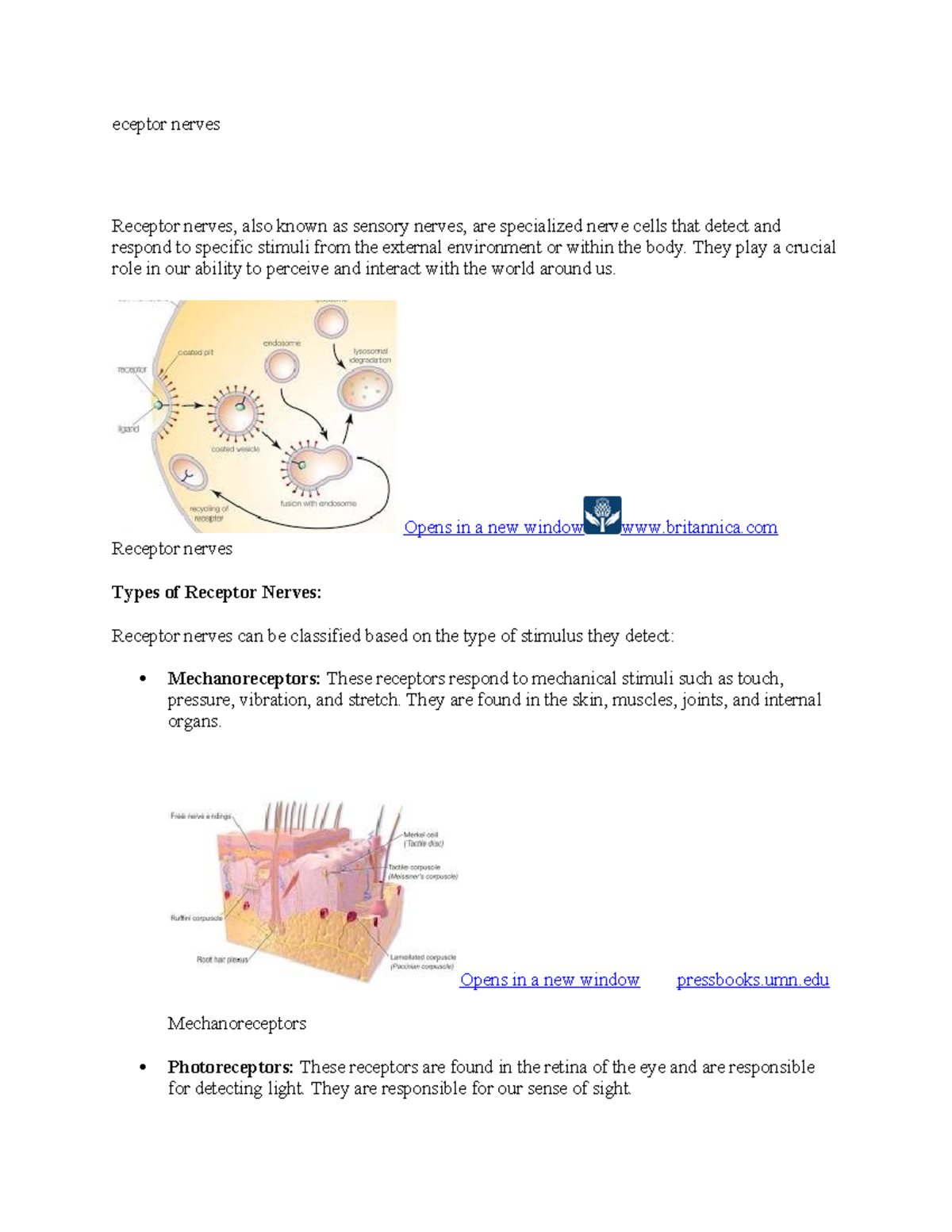 Receptor nerves - eceptor nerves Receptor nerves, also known as sensory ...