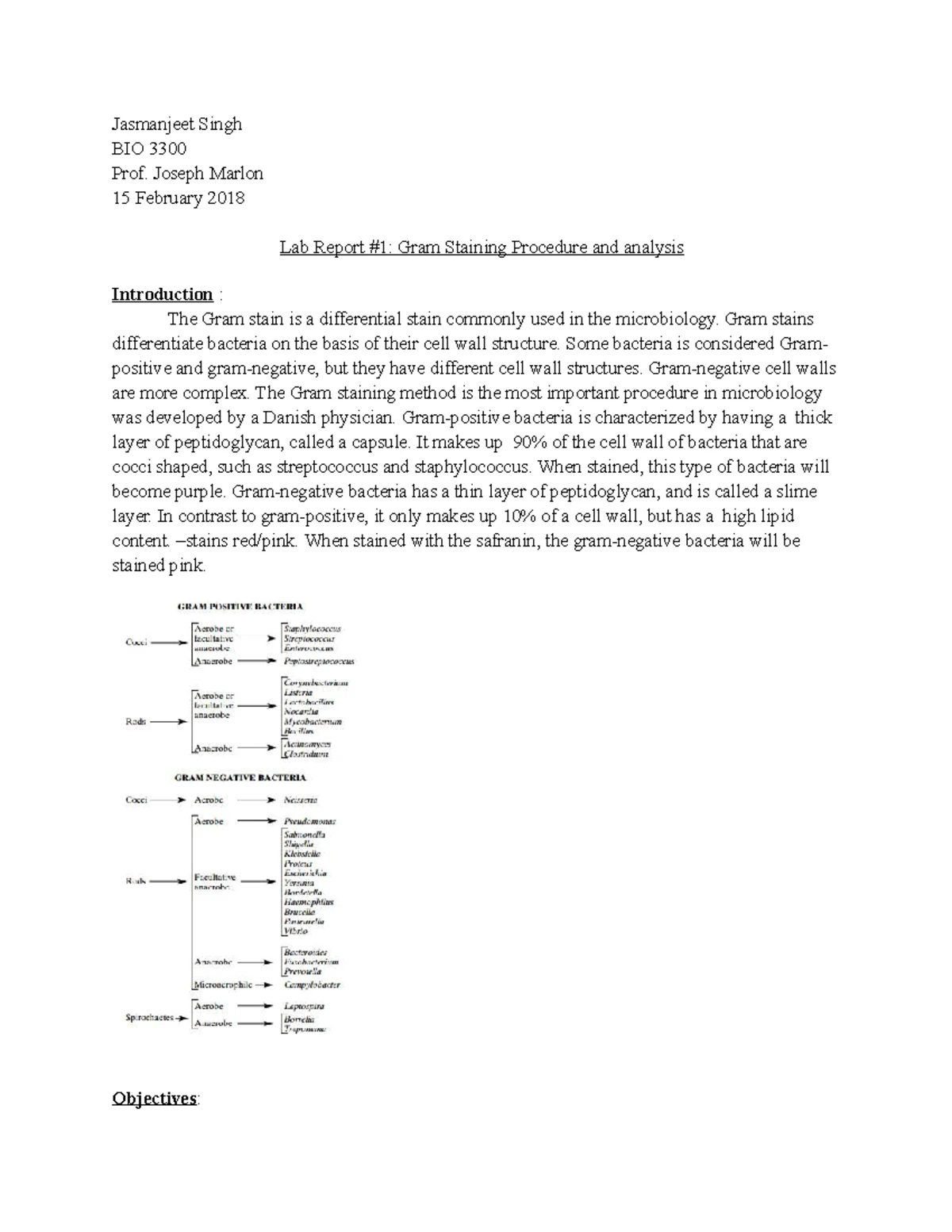 Simple Staining - Lab report - Simple Staining Written by: Kathleen ...