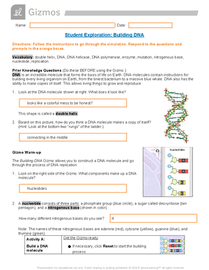 Kassim Jah - Protein Synthesis and Codons Practice Worksheet - Protein Synthesis and Codons ...