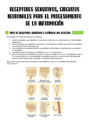 Platos Típicos DE Oruro - PLATOS TÍPICOS DE ORURO, BOLIVIA, QUE DEBES ...