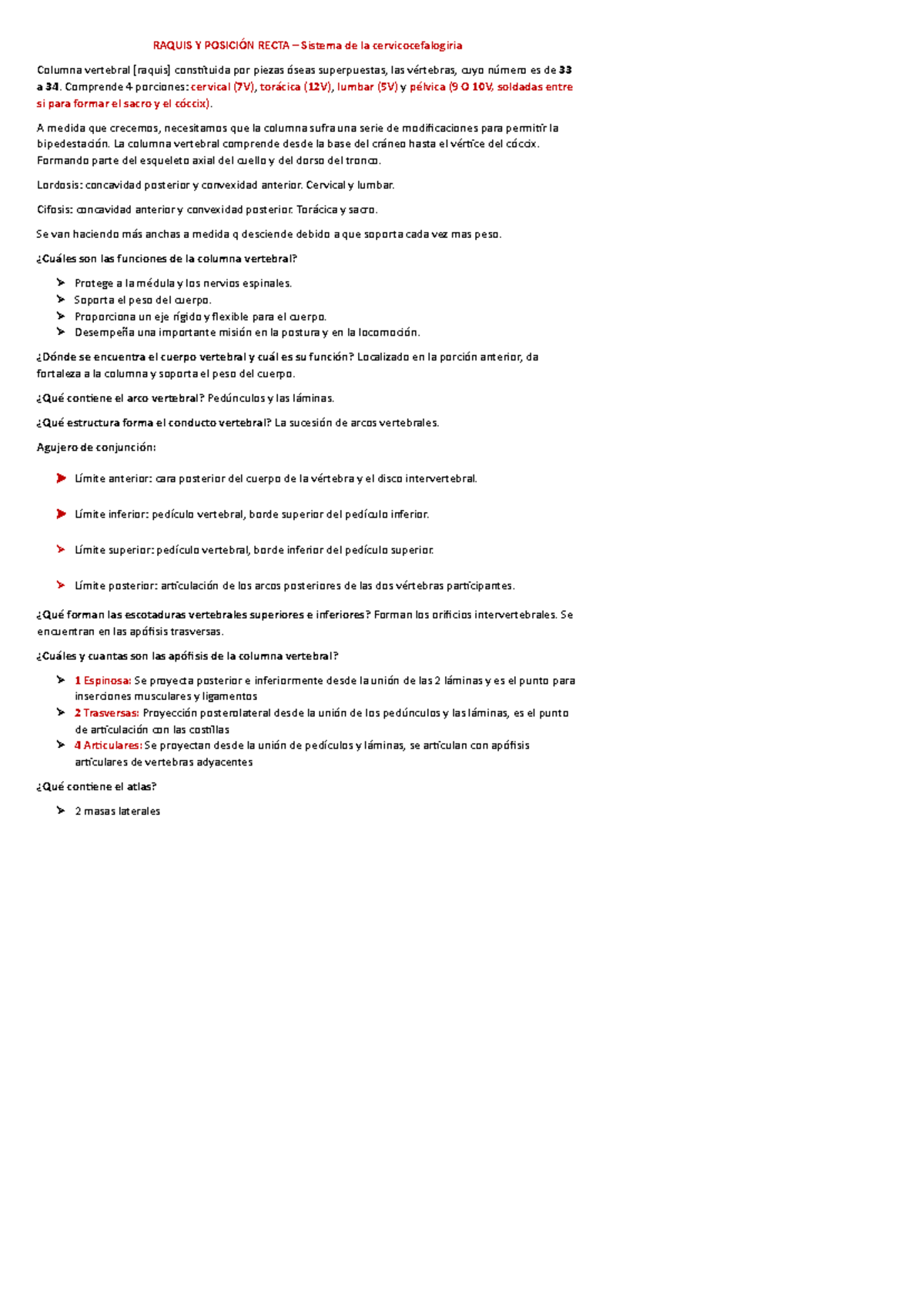 Raquis y Posición Recta: Anatomía de la Columna Vertebral y Funciones ...