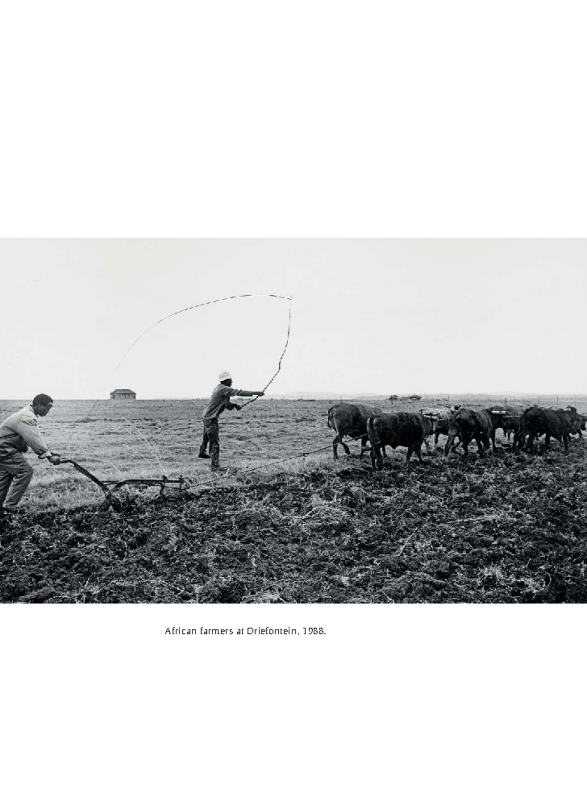 Struggles for Land and Labour in the Eastern Transvaal (History 101 ...