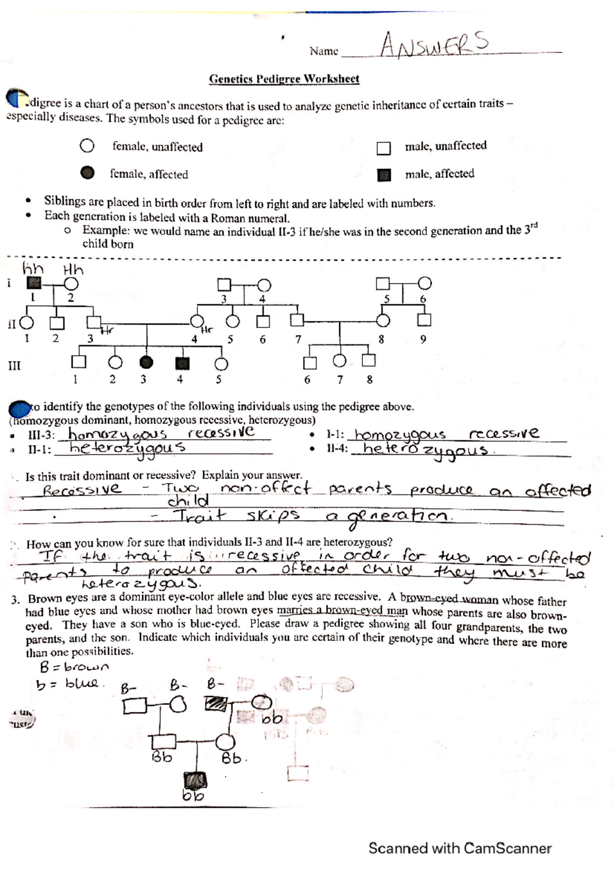 Genetic Pedigree Worksheet - Answers - Name ANSWERS Genetics Pedigree ...