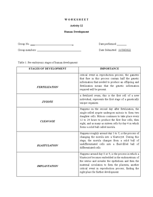 NS-Embryology- Activity NO. 9 - Activity 9 THE CHICK EMBRYO (33 Hour ...