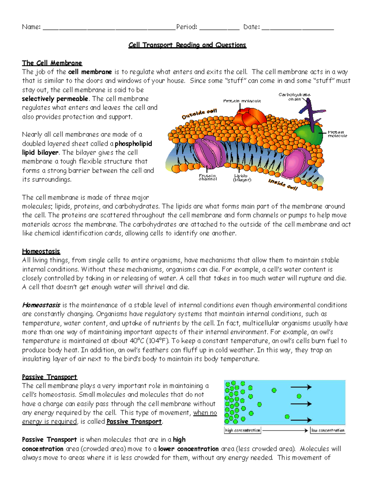 Cell Transport: Membrane Function & Homeostasis (Biology 101) - Studocu