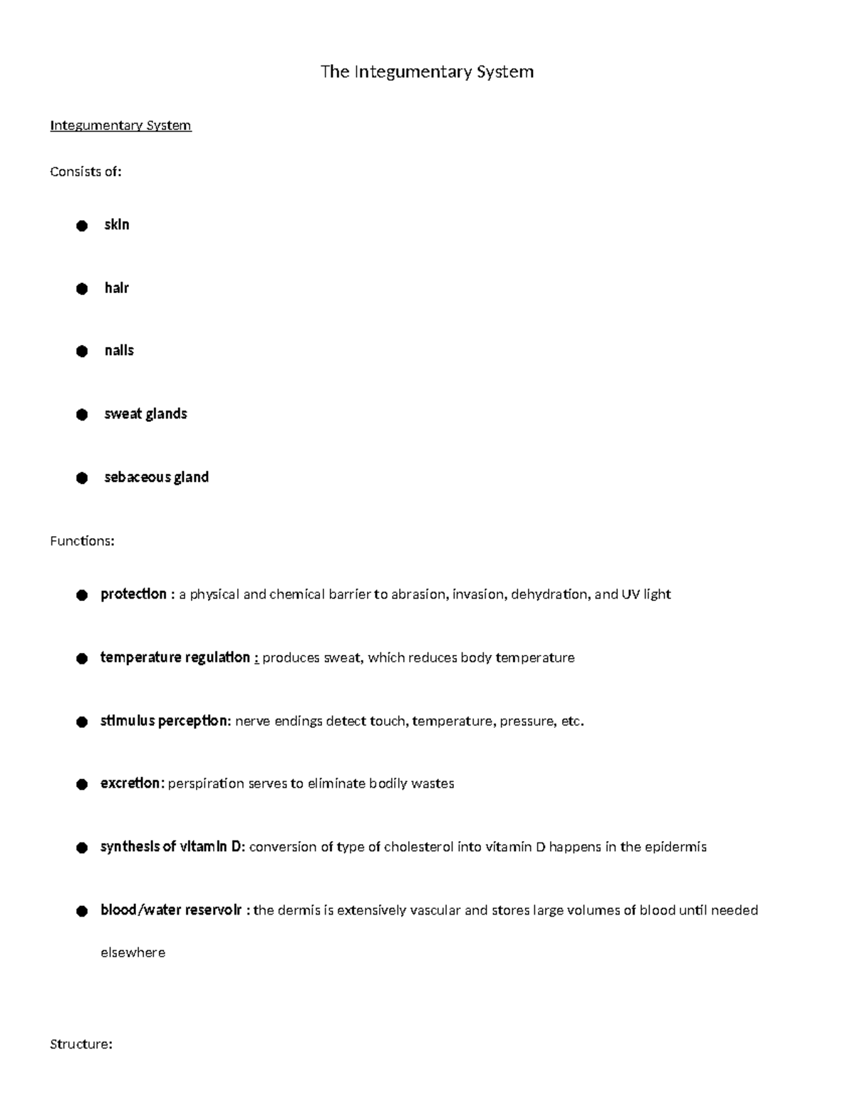 Integumentary System Overview: Structure, Functions, and Skin Cancer ...