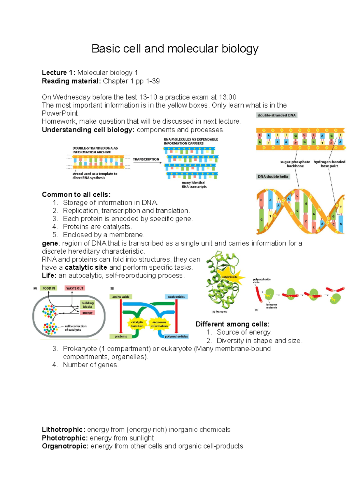 Basic cell and molecular biology - Basic cell and molecular biology ...