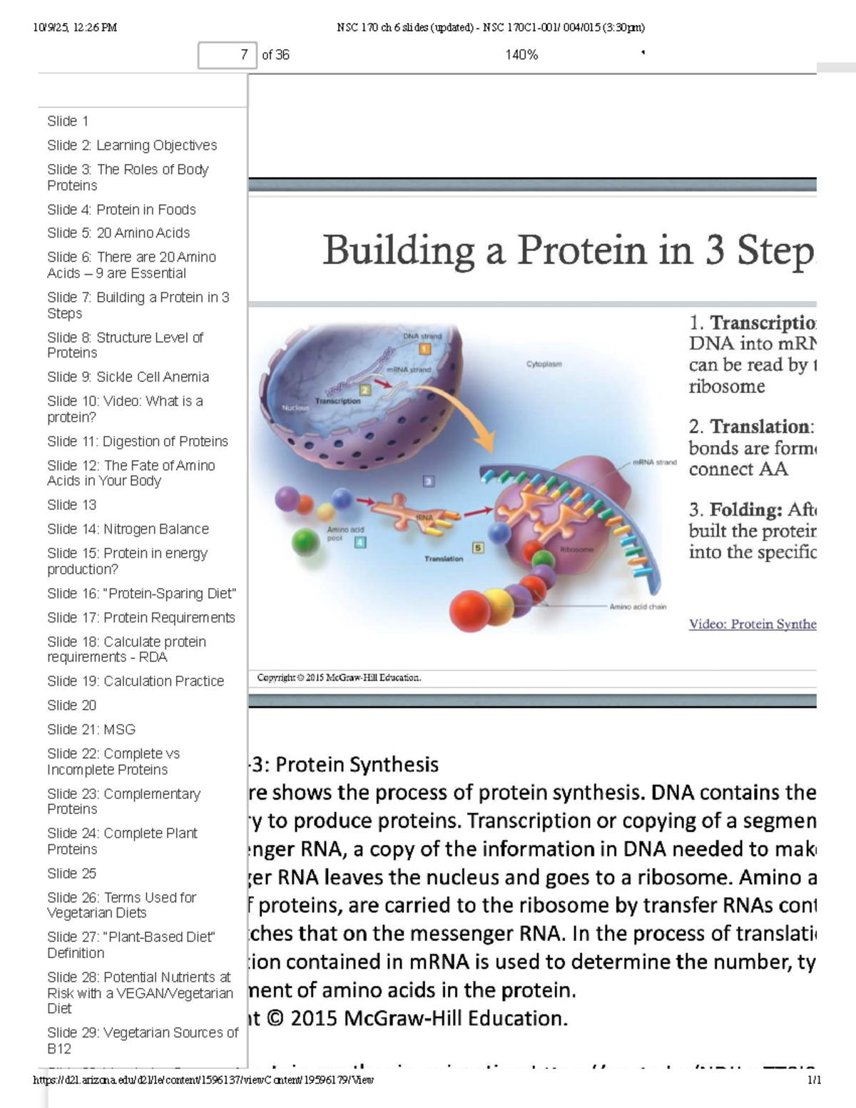 NSC 170 Chapter 6 Slides: Understanding Body Proteins (Updated) - Studocu