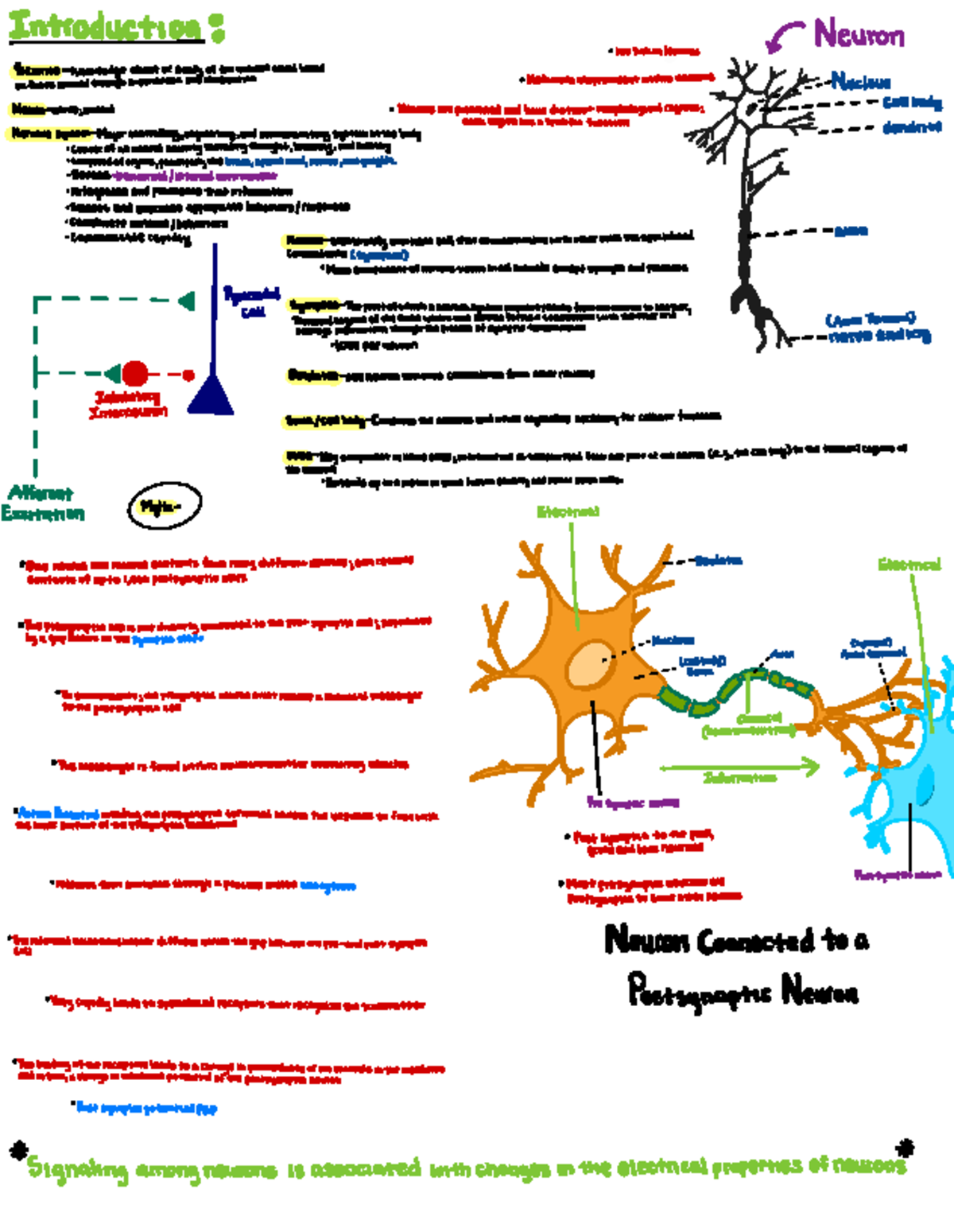 Class Lecture Notes Neuro #1 - Introduction ° o f Neuron 100 ...