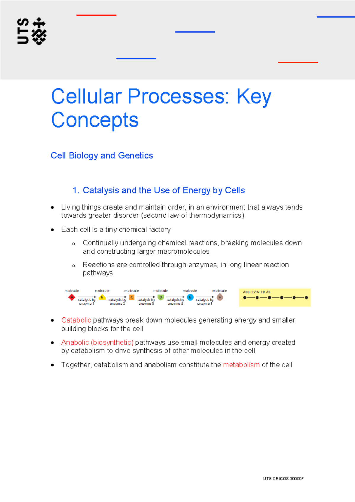 Cellular Processes Key Concepts SPR 21-1 - Cellular Processes: Key ...