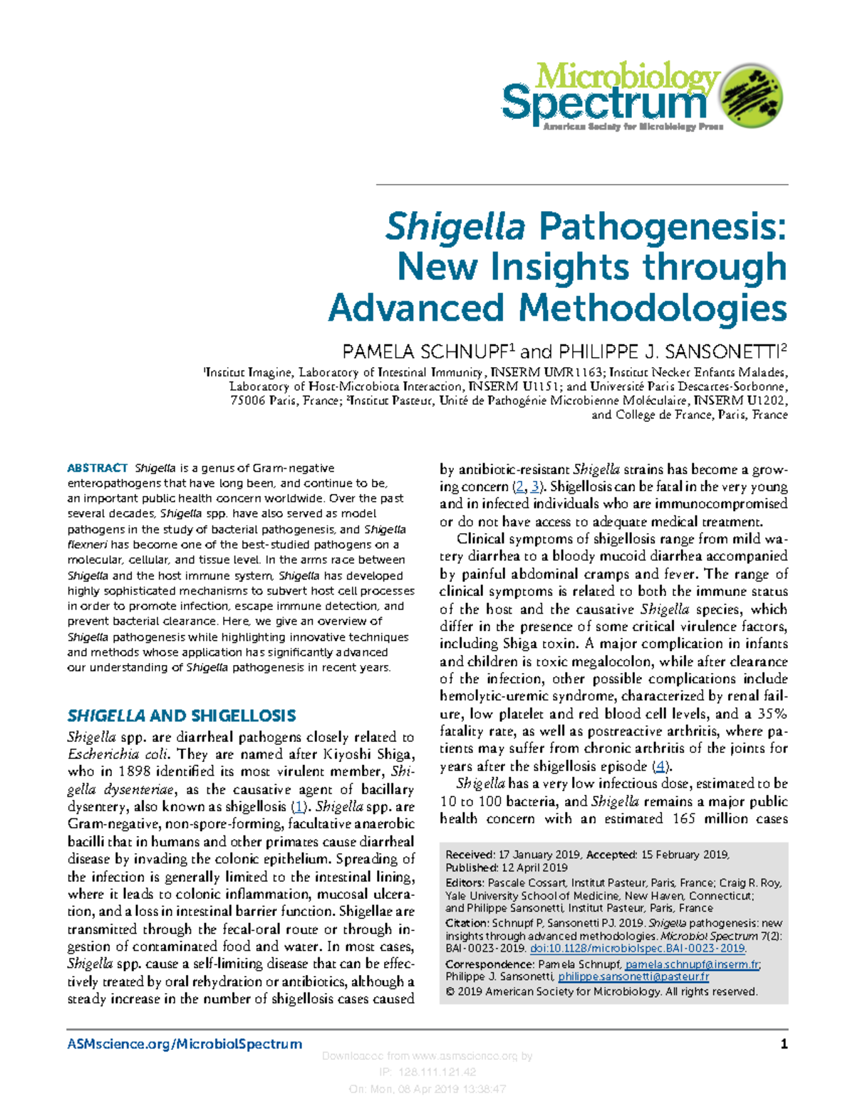 Shigella Pathogenesis: Advanced Insights in Fisiopatologia Study - Studocu