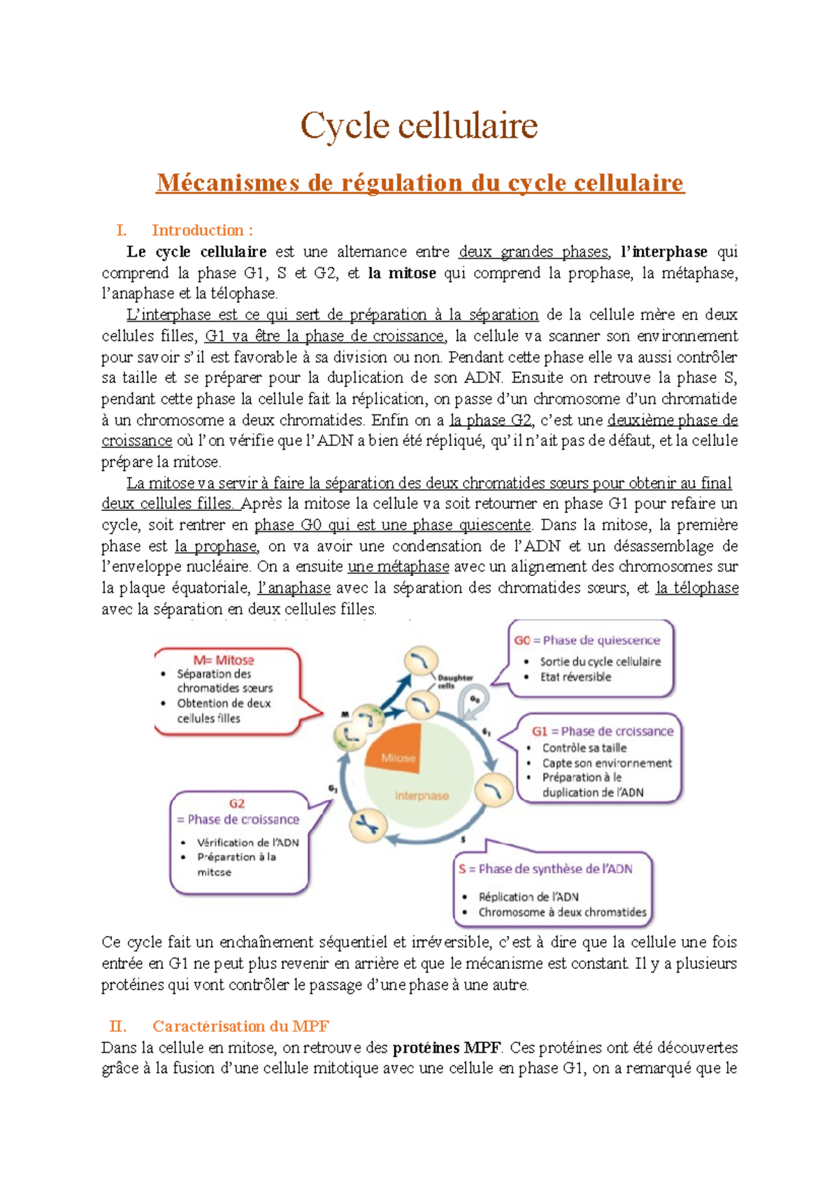 Régulation du Cycle Cellulaire - Cours Licence 2 - BMC par Pr. François ...