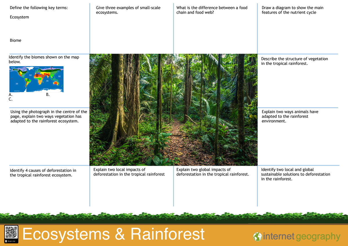 Ecosystems and Rainforest Revision Notes (Final Exam) - Studocu