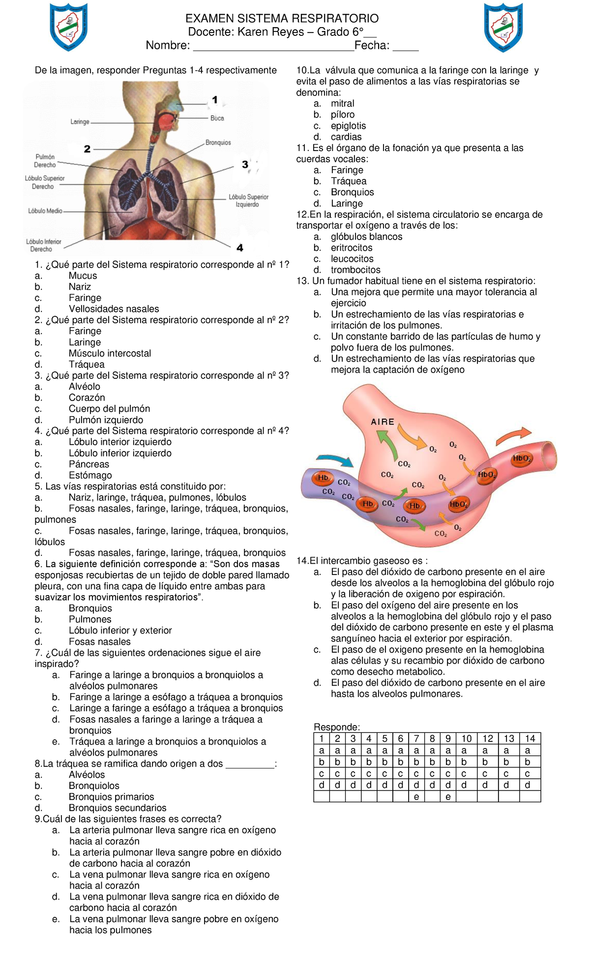 Examen de Sistema Respiratorio - Grado 6 - Karen Reyes - Studocu
